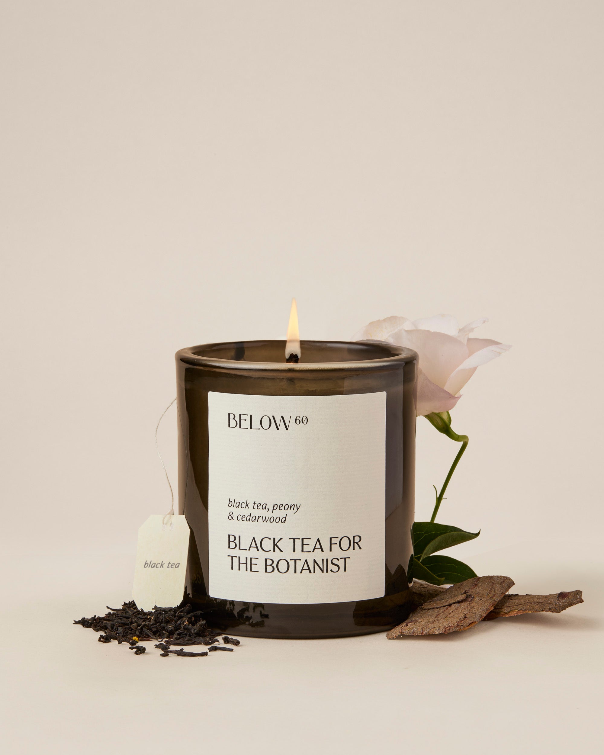 Black Tea for the Botanist Candle – Below 60